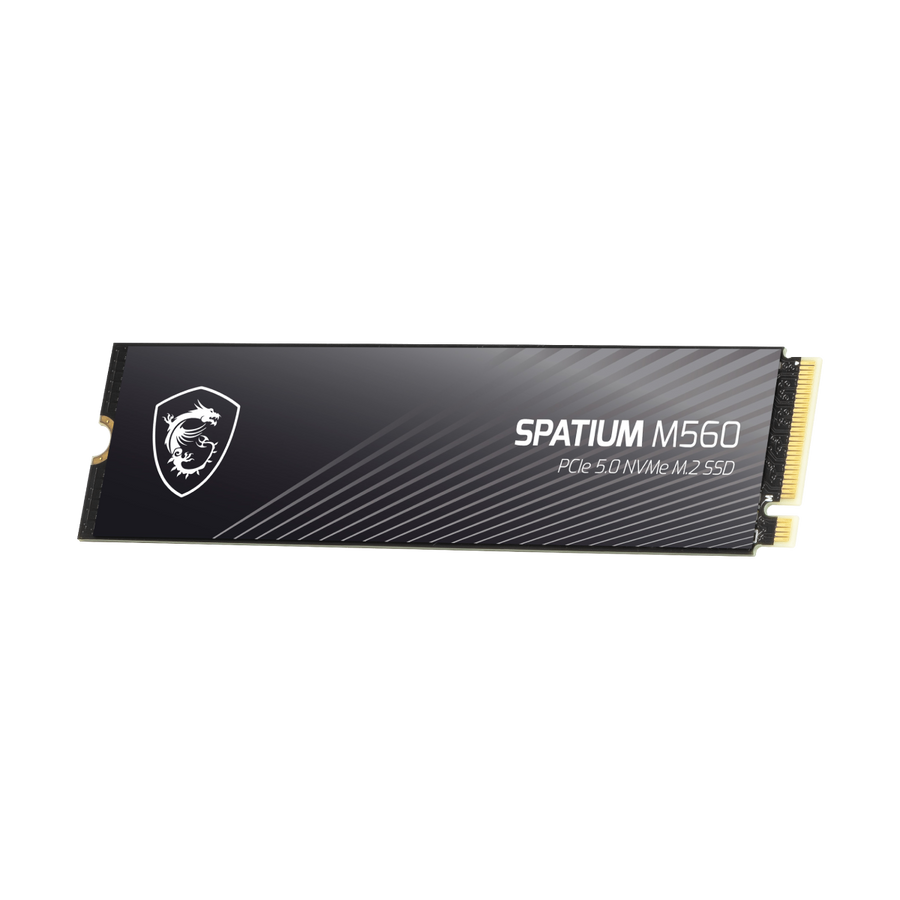 Discos Duros SSD: Internos y externos para PC – MSI e-Shop | Tienda ...