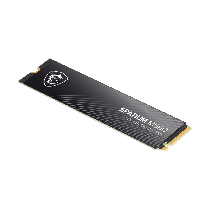 Discos Duros SSD: Internos y externos para PC – MSI e-Shop | Tienda ...