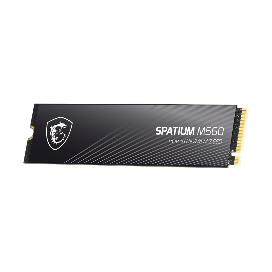 Discos Duros SSD: Internos y externos para PC – MSI e-Shop | Tienda ...